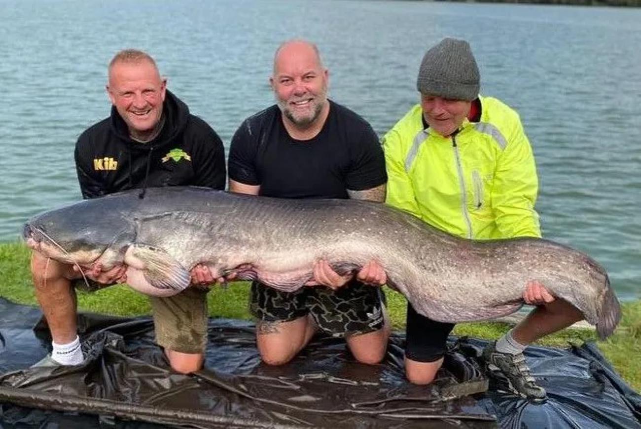 Gallery | Lake Fishabil