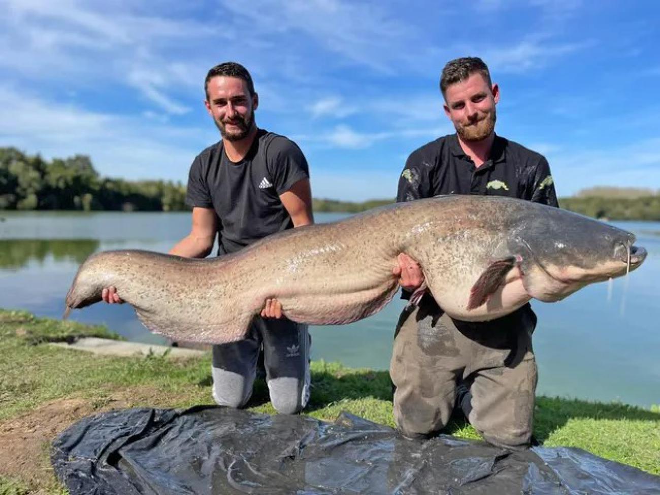 Gallery | Lake Fishabil