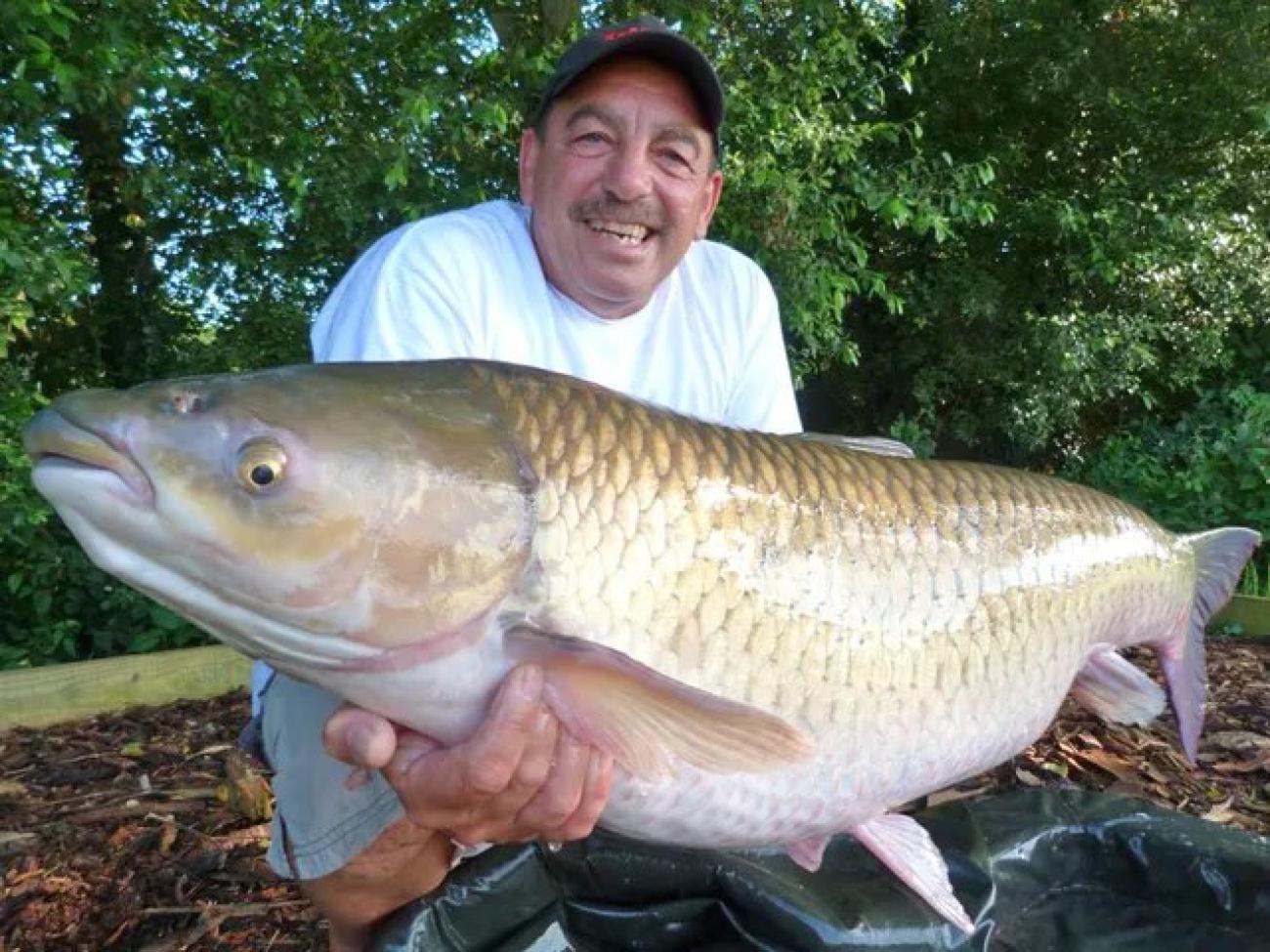 Gallery | Lake Fishabil